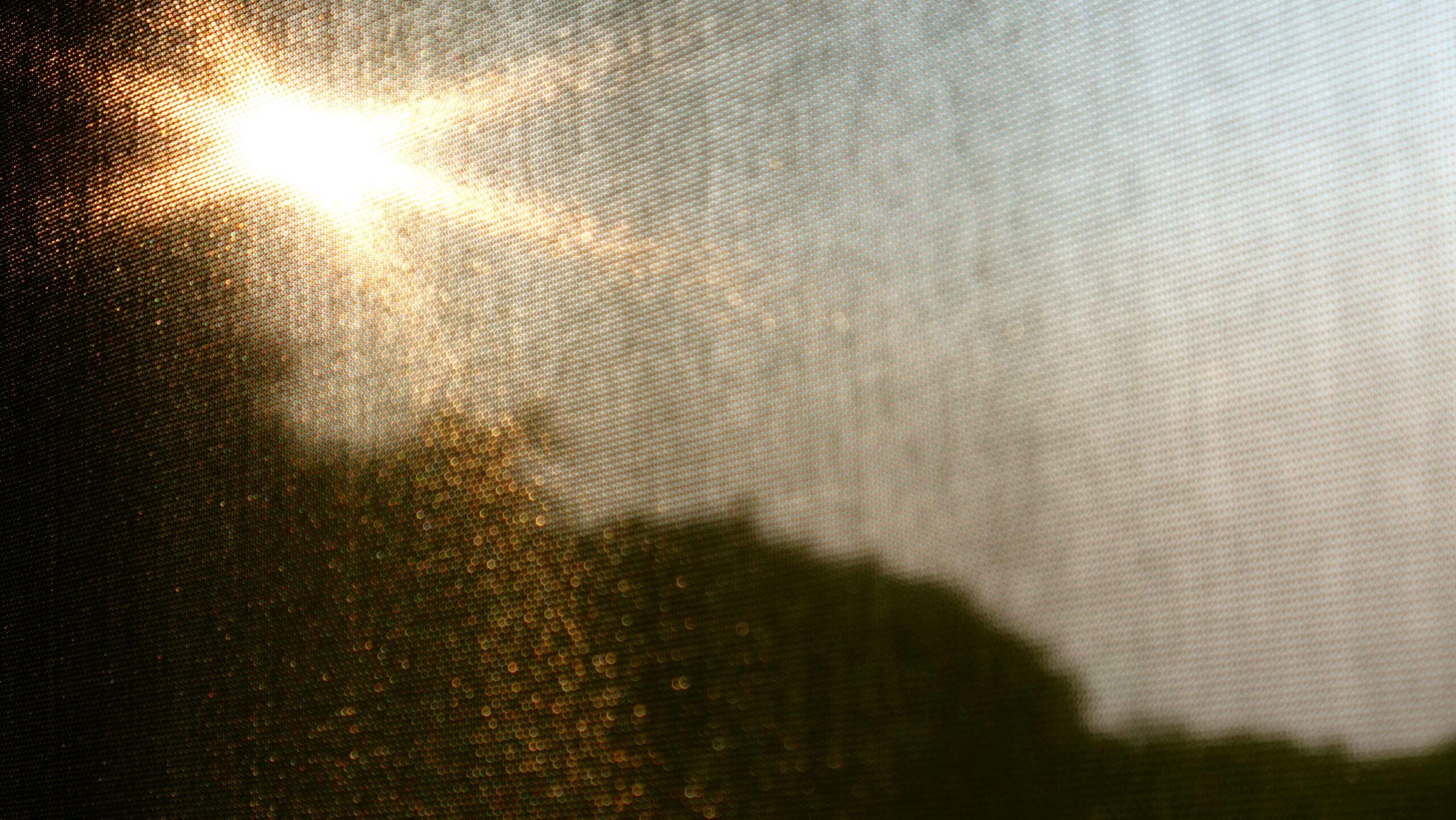 Shedding Light on UV: What You Need to Know About Ultraviolet Rays ...